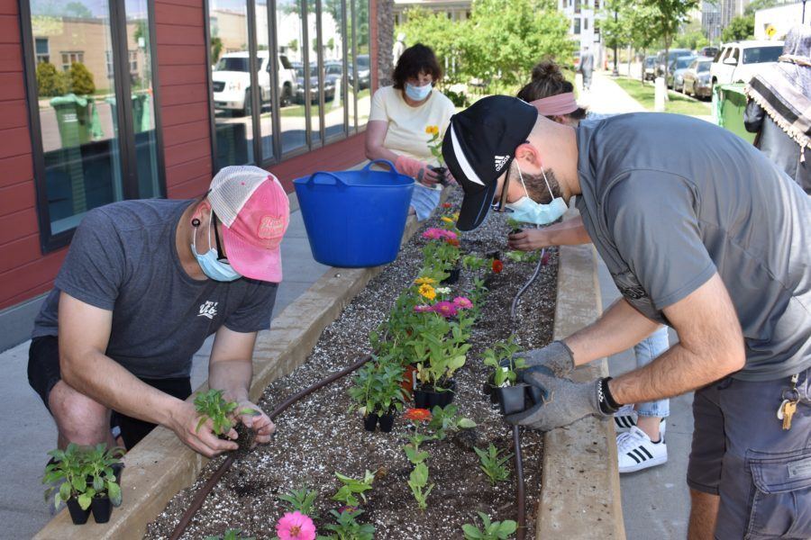 Nature Based Therapy - Touchstone Mental Health